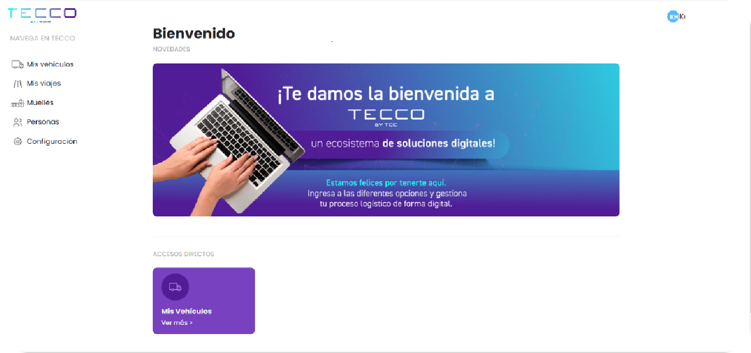 Carga Masiva - TECCO TECCO